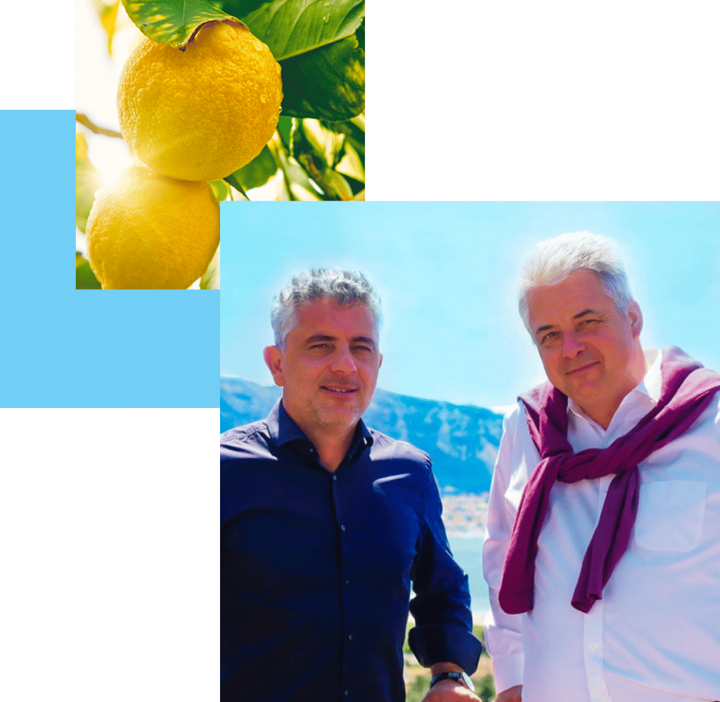 Fabricant de glaces et sorbets français - Alfagel